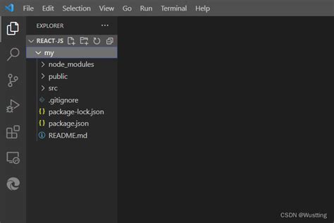 Vscode下载安装react以及过程中的问题vscode React Csdn博客