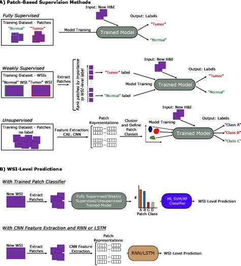 General Deep Learning Training And Prediction Approaches A Examples Download Scientific