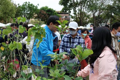 呵護台灣！員林市公所舉辦綠化月 5000株樹苗免費索取 觀傳媒