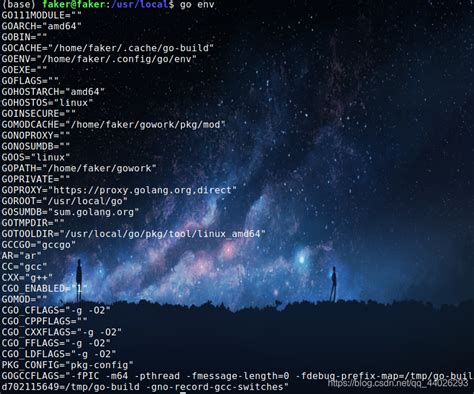在ubuntu上安装golang以及环境配置apt Get Install Golang Special Version Csdn博客