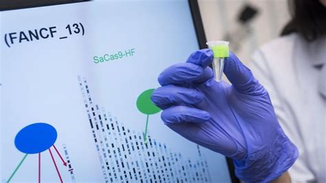 A Highly Precise Cas9 Enzyme Sacas9 Hf Is Added To The Crispr Toolbox