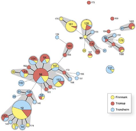 Minimum Spanning Tree Analysis Based On 50 Multilocus Sequence Types