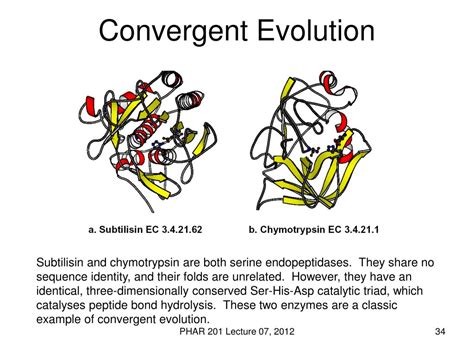 Ppt Understanding Sequence Structure And Function Relationships And The Resulting Redundancy