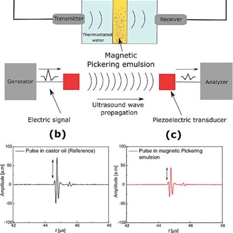 A The Experimental Setup Of The Ultrasound Measurement System