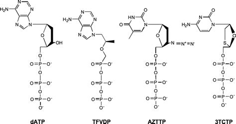 Datp Structure