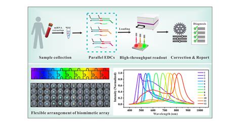 Flexible Arranged Biomimetic Array Integrated With Parallel Entropy Driven Circuits For