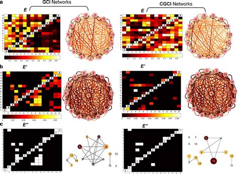 Granger Causality Gci And Conditional Granger Causality Cgci Download Scientific Diagram