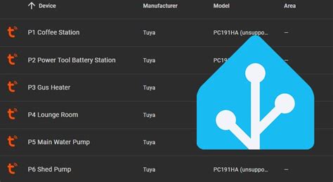 how to set up roborock on home assistant pi my life up