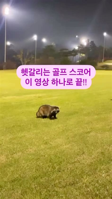 Caddyjini • Instagram Photos And Videos