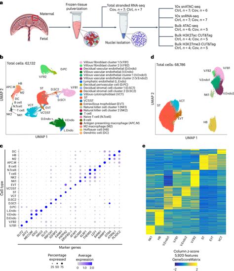 Multi Omic Analysis Of The Mfi In Patients With Covid 19 A Schematic
