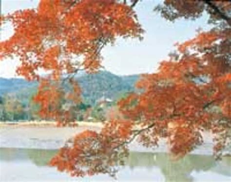 旧嵯峨御所 大本山大覚寺紅葉 イベント一覧 京都府観光連盟公式サイト