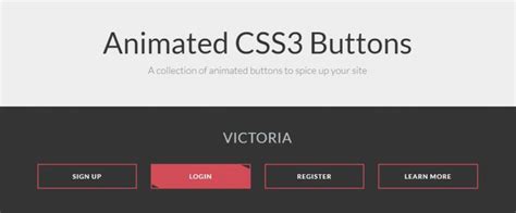 Amazing Css Animated Button Code Onaircode