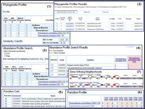 Profile Search And Functional Profile Tools The ‘phylogenetic