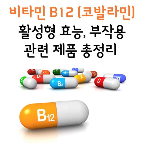 비타민 B12 코발라민 활성형 효능 부작용 관련 제품 총정리 Sok Sok