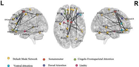 Frontiers Intrinsic Functional Connectivity In The Default Mode Network Differentiates The