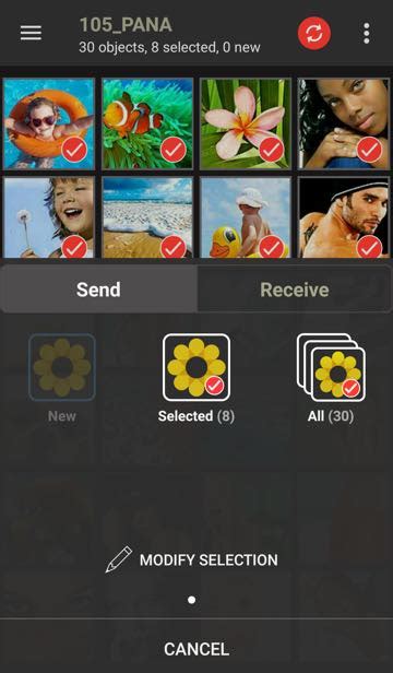 How To Transfer From An USB OTG Device PhotoSync