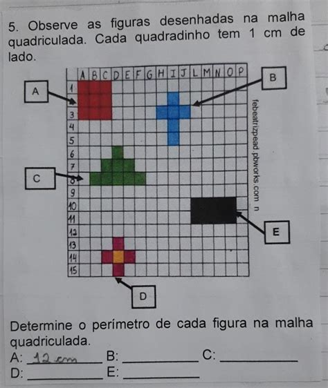 1 Observe As Figuras Desenhadas Na Malha Quadriculada