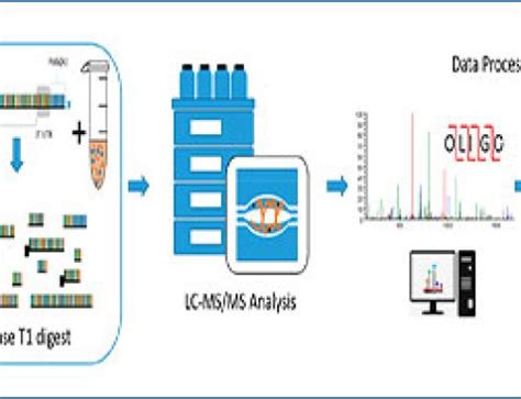 Contextmap 2 Fast And Accurate Context Based Rna Seq Mapping Rna