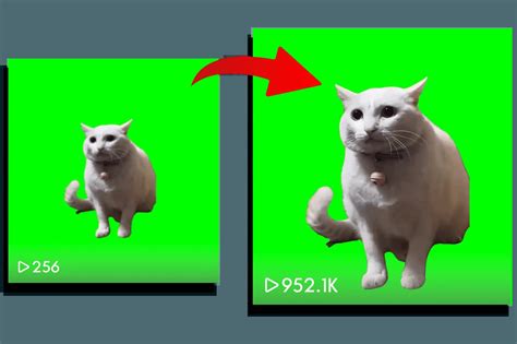 Spongebob Bubble Transition Video Download Mp4