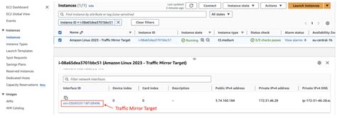 Configure Aws Vpc Traffic Mirroring To Troubleshoot Replication Errors In Aws Mgn And Aws Drs