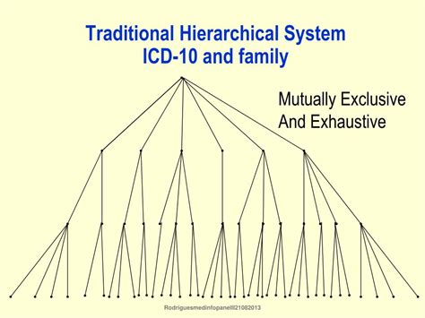 Ppt Common Ontology Between The Foundation Component Fc Of Icd 11 And Snomed Ct Powerpoint