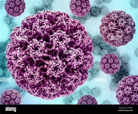 3d Renderings Of The Human Papillomavirus Hpv Capsid Pink Against A Background Image That Is