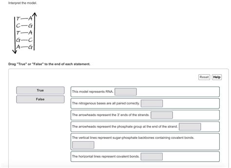 Solved Interpret The Model Drag True Or False To The