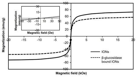 Magnetization Curves Of Ions And β Glucosidase Bound Ions Inset Shows Download Scientific