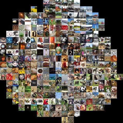 T Sne Visualization For The Last Layer Features Of The Pre Trained Download Scientific Diagram