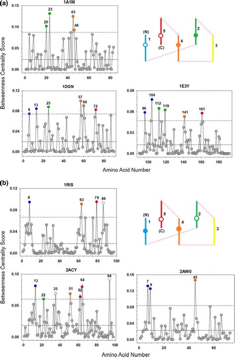 Betweeness Centrality Analysis A Death Domains 1a1w 1dgn 1e3y B