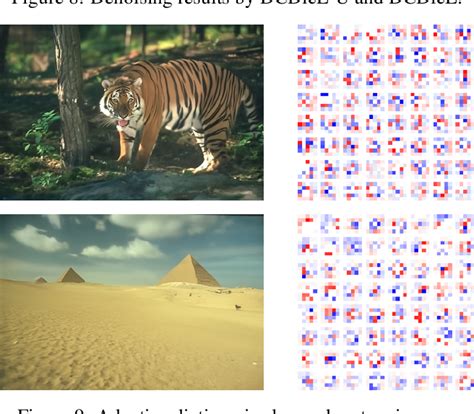 Figure 1 From Deep Convolutional Dictionary Learning For Image Denoising Semantic Scholar