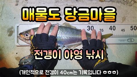 매물도 당금마을 전갱이 야영 낚시 YouTube