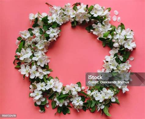 꽃이 만발한 사과 나무와 녹색 잎 파스텔 종이로 만든 분홍색 배경에 자연 화 환 프레임 공간 및 공간을 복사 하 여 텍스트를 삽입 합니다 3월에 대한 스톡 사진 및 기타