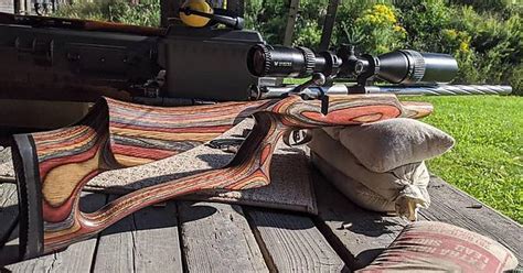 Savage Mk2 Bsev 22lr Album On Imgur