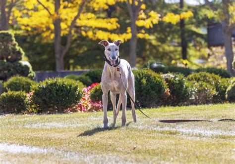 So Proud Of These Two Coran Sigmans Hard Work And Dedication To Gradys Program Continue To