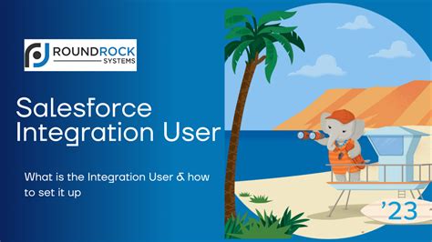 salesforce integration user