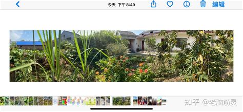 又是一年清明时 知乎