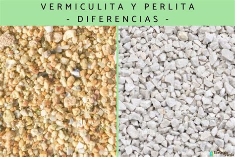 Vermiculita Y Perlita Diferencias Guía Práctica