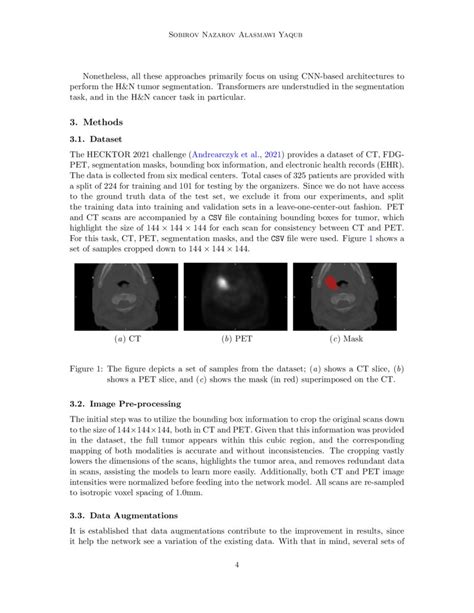 Automatic Segmentation Of Head And Neck Tumor How Powerful
