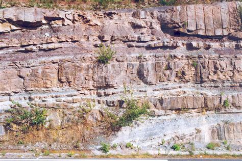 Restore Geology In Your Geomodels