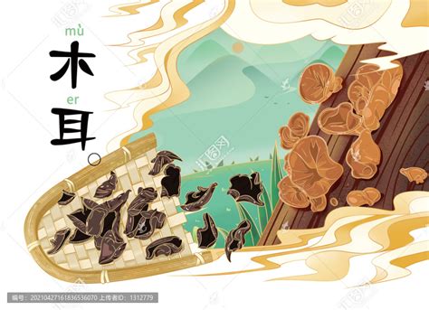 野生木耳外包装插画海报 食品包装 包装设计 设计模板 汇图网www huitu