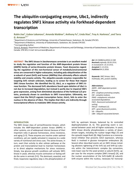 Pdf The Ubiquitin Conjugating Enzyme Ubc1 Indirectly Regulates Snf1