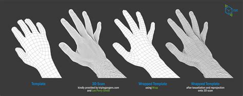 Introducing R3ds Wrap Topology Transfer Tool Scanable