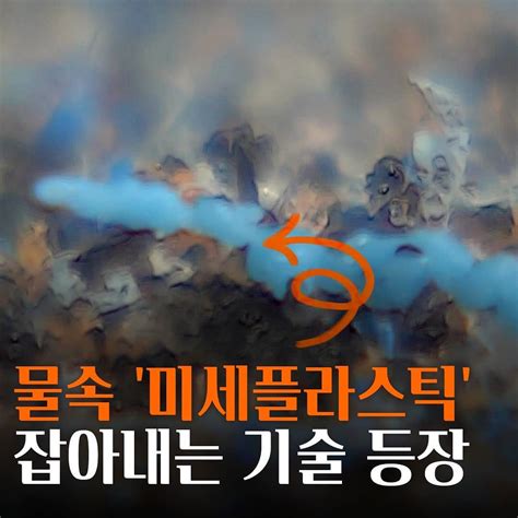 뉴스 트리 Korea 미세플라스틱 잡는 미생물 그물망 개발됐다 홍콩이공대학교 연구진이