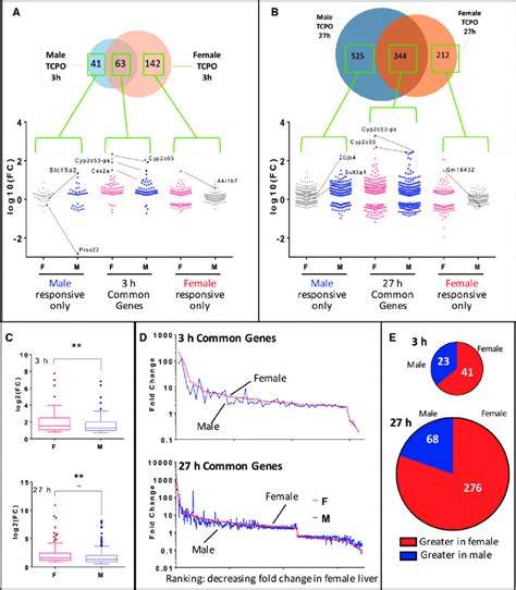 Sex Differences In Tcpobop Gene Responses Identified By Nuclear