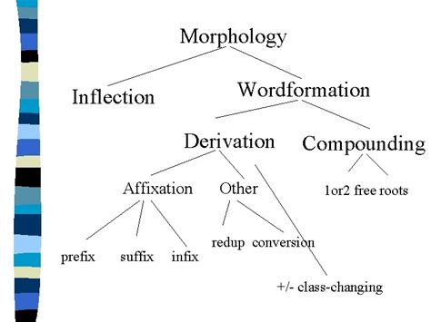 Introduction To Morphology Morphology Wordformation Inflection Derivation Affixation