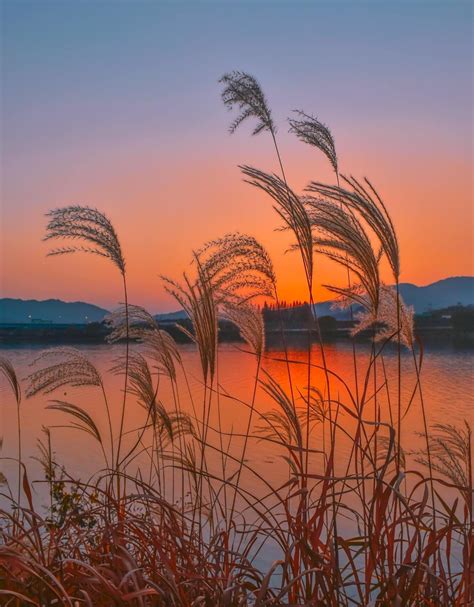 H Nh Nh Ch M Ho Ng H N P Nh T V Chi U C N Em P Nh T D I Nh N Ng V Ng