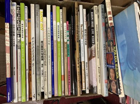 【やや傷や汚れあり】贅沢な時間 樋口可南子写真集の落札情報詳細 ヤフオク落札価格検索 オークフリー