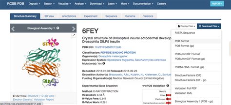 Pymol 10 Very Basic Commands That You Really Need To Know Part 1 By The Bioinformatics