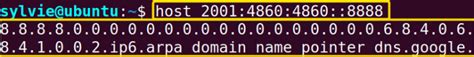 The Host Command In Linux Practical Examples
